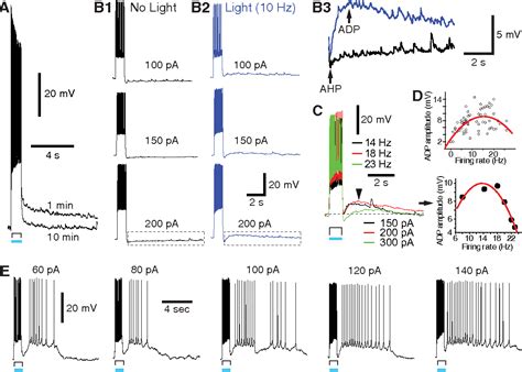 Figure 6 From Impact Of Basal Forebrain Cholinergic Inputs On