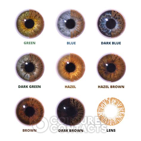 Light Brown Eye Color Chart