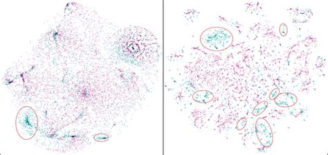 T Sne Clustering For Visualizing East Data On The Left T Sne Is