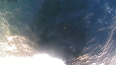 Dolphin Detector Object Detection Model By Stagevideodetectionusingyolo