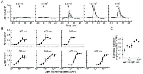 Fig S3 Intensity Response Relationships Of The Light Off Induced Pka
