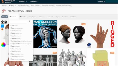 Бесплатные 3d модели У Компа