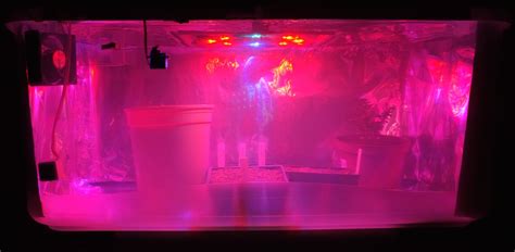 Arduino Controlled Greenhouse