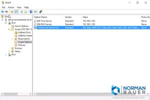 Configuring DHCP Option 119 Domain Search List On A Windows DHCP Server NORMAN BAUER