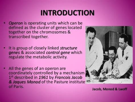 The Lac Operon Dna Sequence Chromosome Molecules