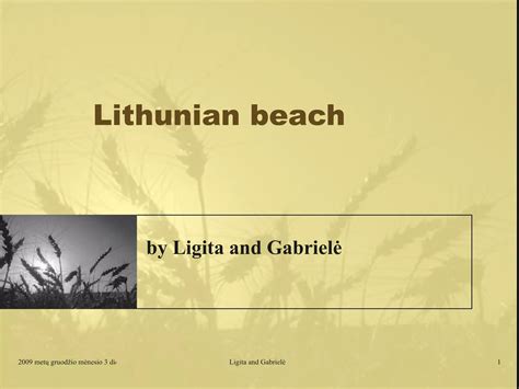 Lithunian Beach Ppt