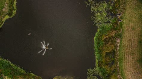 2021년 3월 봄 방학 동안 플로리다 다운타운 웨스트 팜 비치의 그린 레이크 조감도 3월에 대한 스톡 사진 및 기타 이미지 3월 건설 산업 건축물 특징 Istock