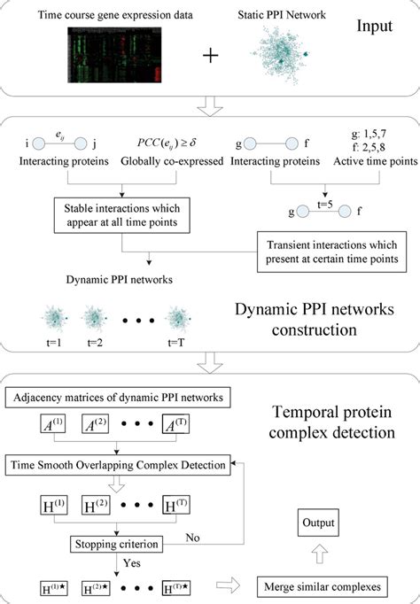 Schematic Overview Of The Algorithm Ts Ocd Consists Of Two Stages