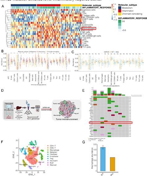 Figure 1 From Molecular Subgroups Of Intrahepatic Cholangiocarcinoma Discovered By Single Cell