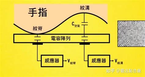 浅谈一下指纹识别模组封装材料 知乎