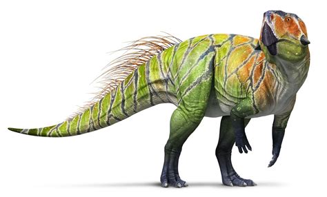 Psittacosaurus Minecraft Skin