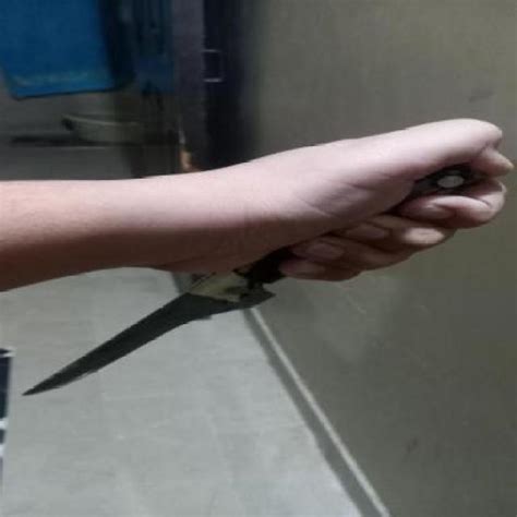 Knife Detection Object Detection Dataset V4 2024 04 23 4 35pm By Violence Detection