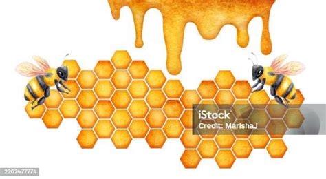 세계 꿀벌의 날 5월 20일 꿀벌과 함께 수채화 그림 개념은 꿀벌과 생태 및 생태계를 저장합니다 건강한 천연 영양 5월에 대한