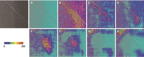 Transformer Based Hierarchical Multiscale Feature Fusion Internal Wave