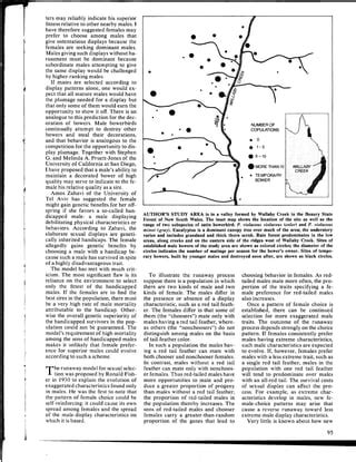Sexual Selection In Bower Birds Pdf PDF