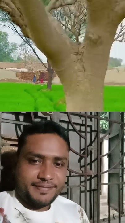 আল্লাহর সৃষ্টির কোন তুলনা হয় না Youtube