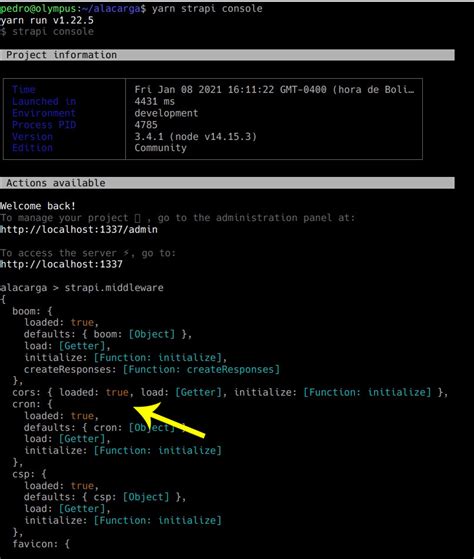 How To Solve Cors Policy Problem For Strapi Questions And Answers