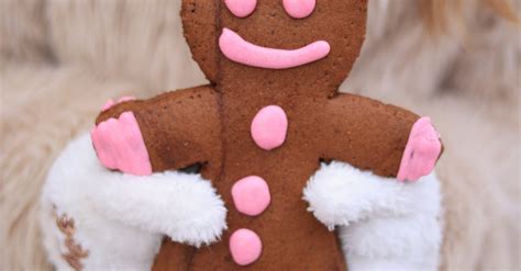 가족의 전통 겨울 겨울 따뜻함 겨울 옷 계피 귀여운 단 것 달콤한 대접 디저트 베이킹 브라운 쿠키 생강 설탕 설탕을 입힌 손 수제 디저트 수직