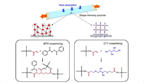 Schematic Of The Elastocaloric Effect In Tetra Branched Download