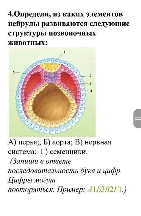 Даю 20 баллов Пожалуйста срочно Школьные Знания Com