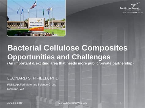 Pdf Bacterial Cellulose Composites Department Of Energy Cte Natural