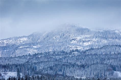 Skjelstadmark I Januar Dekt I Masse Dempende Hvit Snø