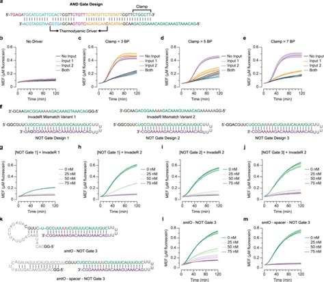 Programming Cell Free Biosensors With Dna Strand Displacement Circuits Pmc