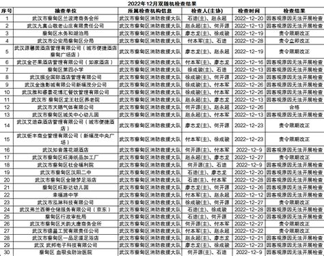 蔡甸区消防救援大队2022年12月双随机一公开监督抽查结果及2023年1月监督抽查任务公示 监管 检查 部门