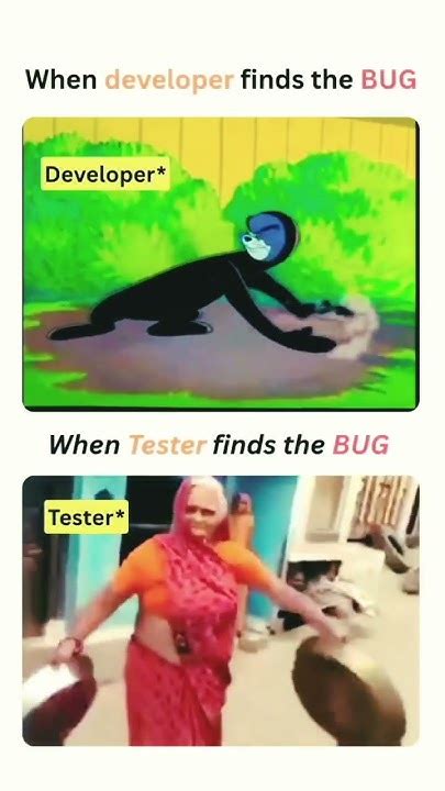 pov developer vs tester against the bug 😁😜 funny programming reels youtube
