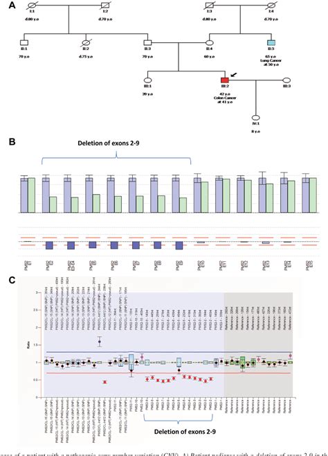 Figure 4 From Copy Number Variations Cnvs Account For 108 Of