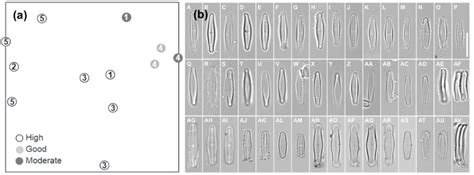 20 A Multivariate Ordination Indicating Differences In The Download Scientific Diagram