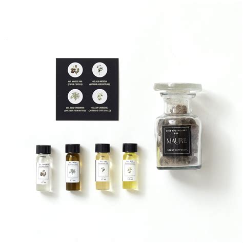 Lava Rock Diffuser Kit Luxury Client Ts From Maure Ting Co