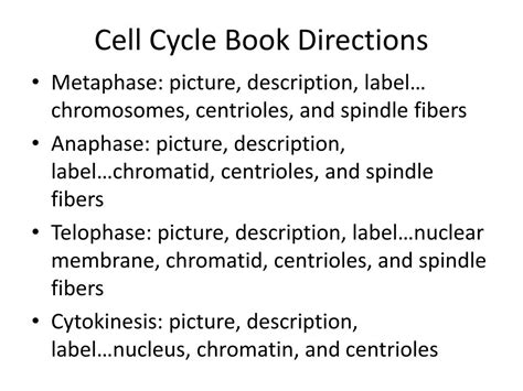 PPT The Cell Cycle PowerPoint Presentation Free Download ID 2474456