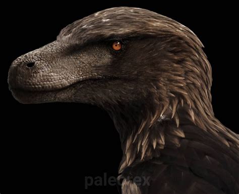 Utahraptor Artofit