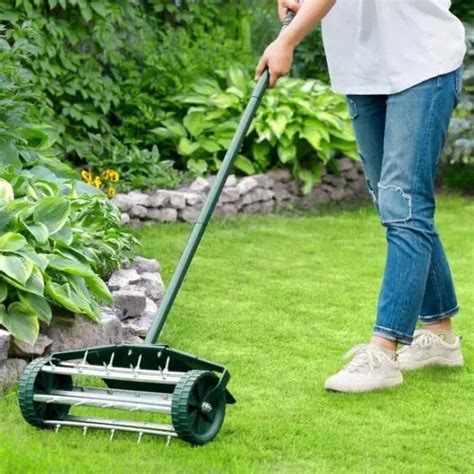 Dethatching Vs Aerating Tips For A Better Lawn Sumo Gardener