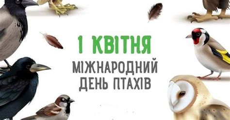 Міжнародний день птахів
