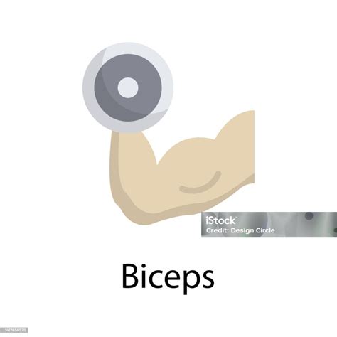 이두박근 벡터 플랫 아이콘 디자인 일러스트레이션 흰색 배경 Eps 10 파일에 기타 기호 팔 신체 부분에 대한 스톡 벡터 아트 및 기타 이미지 팔 신체 부분 건강한