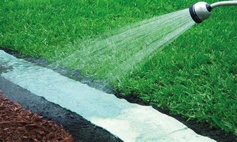 Roll Out Flower Seed Mats Groupon Goods