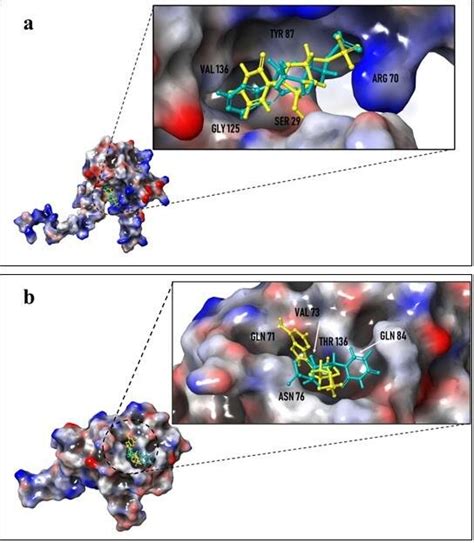 Potential Energy Surface Structure With An Elaborate Display Of Binding