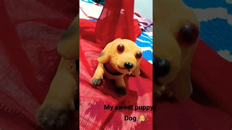 🐕‍🦺🐕‍🦺🐕‍🦺🐕‍🦺🐕‍🦺🐕‍🦺🐕‍🦺🐕‍🦺🐕‍🦺🐕‍🦺🐕‍🦺🐕‍🦺 Sweety Bubby Youtube