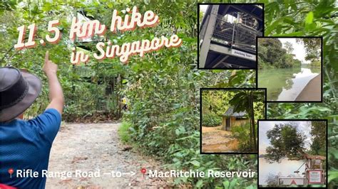 11 5km Hike In Singapore Rifle Range To Macritchie Hiking Hike