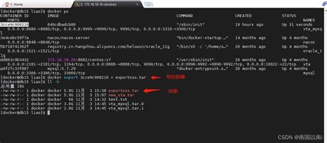 Docker 导出镜像、导出容器操作 Csdn博客