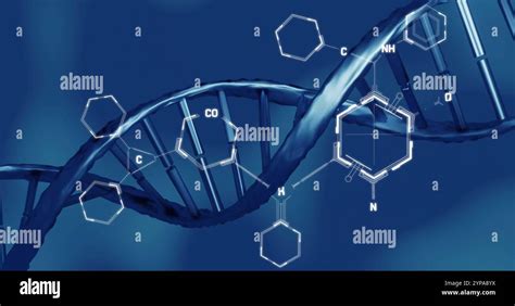 Image Of Scientific Data Processing Over Dna Strand Spinning Stock