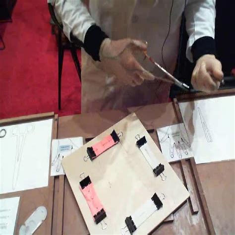 Hw1objectsdetection Object Detection Dataset And Pre Trained Model By Technion