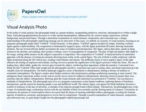 Visual Analysis Photo Free Essay Example Words PapersOwl Com Visual Analysis Photo Free Essay Example Words PapersOwl Com