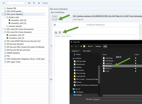 SAP ABAP Central Resolve Annoying Self Signed SSL Certificate Issue On ABAP Developer