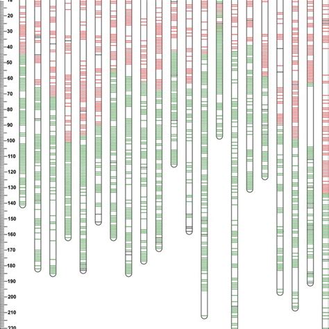 The High Density Genetic Linkage Map Of Recombinant Inbred Line Ril