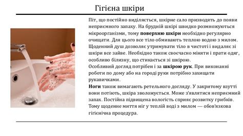 Значення і будова шкіри Терморегуляція