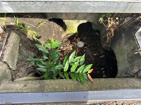 Utility Mapping On Linkedin Utilitymapping Subsurfaceintelligence