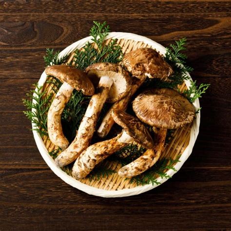 Different Types Of Edible Mushrooms And How To Use Them